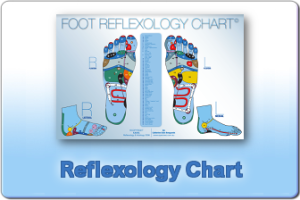 Reflexology Chart (Laminated A3) – Iridology